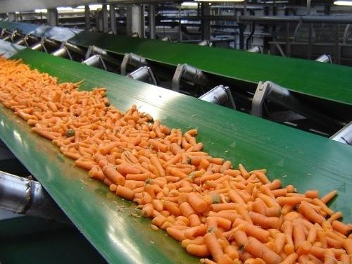 PU (TPU) Conveyor Belts | Inbelts